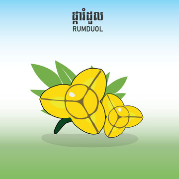 รูปภาพRumdul – เลือกดูภาพถ่ายสต็อก เวกเตอร์ และวิดีโอ499 | Adobe Stock