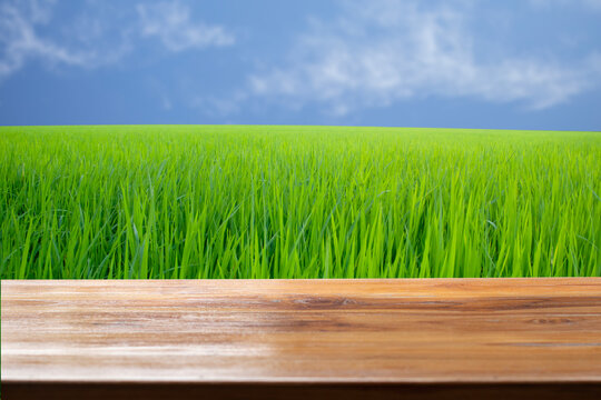 Tabletop Rice Field Backdrop Images – Browse 390 Stock Photos, Vectors ...