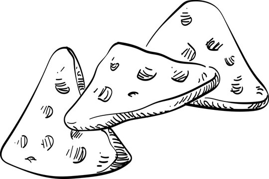 Maryam Images – Browse 628 Stock Photos, Vectors, and Video | Adobe Stock