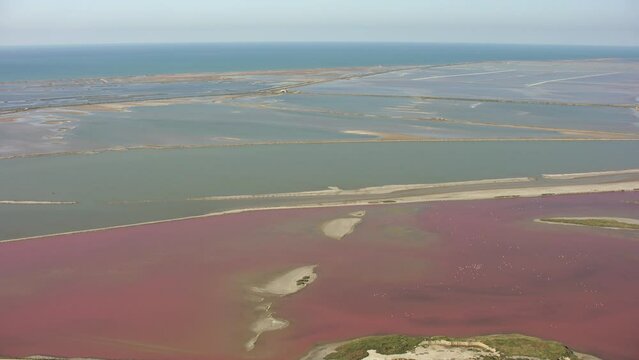 Flamants Roses Images – Browse 2,483 Stock Photos, Vectors, and Video ...