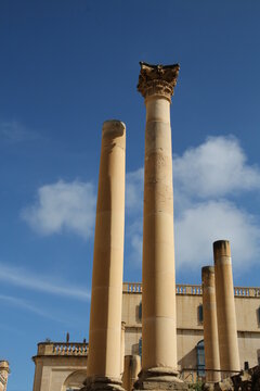 "Royal Opera House"-Bilder: Stock-Fotos & -Videos. | Adobe Stock