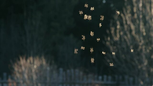 Imágenes de First Day Of Spring: descubre bancos de fotos ...