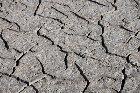 Cuarteada Images – Browse 54 Stock Photos, Vectors, and Video | Adobe Stock