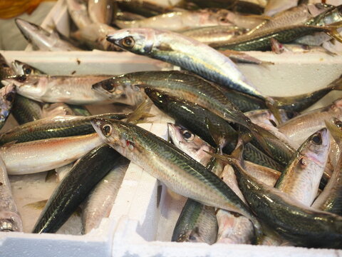 Saldine Images – Browse 3 Stock Photos, Vectors, and Video | Adobe Stock