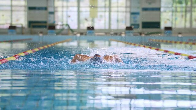 "Butterfly Swim" Images – Browse 51 Stock Photos, Vectors, and Video ...