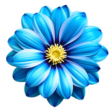 Single Blue Flower Images – Browse 113,856 Stock Photos, Vectors, and ...