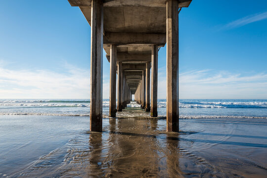 Scripps Images – Browse 1,009 Stock Photos, Vectors, and Video | Adobe ...