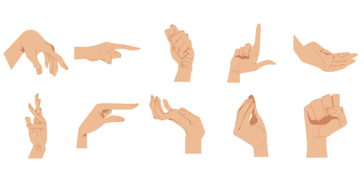 "Flat Hand" Images – Browse 553 Stock Photos, Vectors, and Video ...