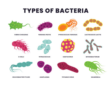 Microscopic Organisms With Names