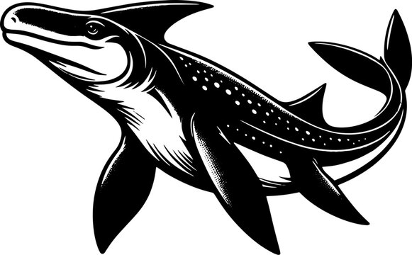 Pliosaur Bilder – Durchsuchen 247 Archivfotos, Vektorgrafiken und ...