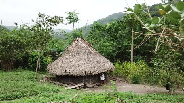 「Kogi」の写真素材 | 455件の無料イラスト画像 | Adobe Stock