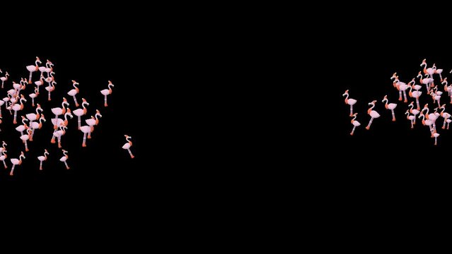 "Tropical Bird" Images – Browse 19,231 Stock Photos, Vectors, and Video ...