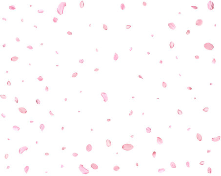 Falling Sakura Wallpaper Images – Browse 13,666 Stock Photos, Vectors ...