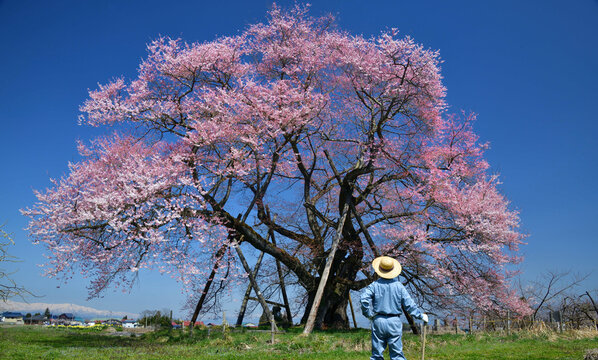 守 Images – Browse 624 Stock Photos, Vectors, and Video | Adobe Stock