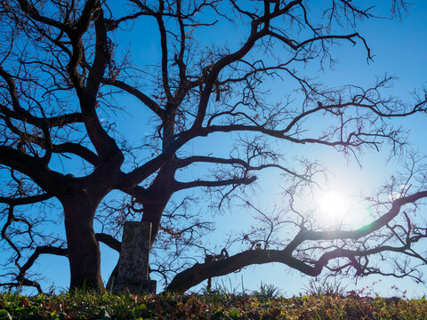 รูปภาพYanaka – เลือกดูภาพถ่ายสต็อก เวกเตอร์ และวิดีโอ1,157 | Adobe Stock