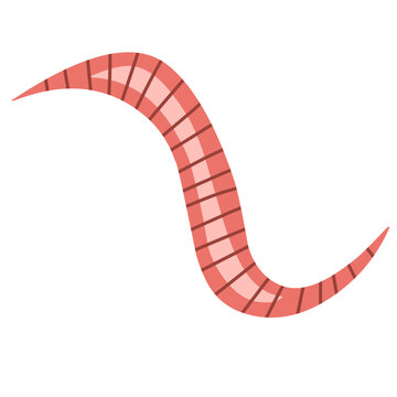 Pinworm Images – Browse 1,827 Stock Photos, Vectors, and Video | Adobe ...