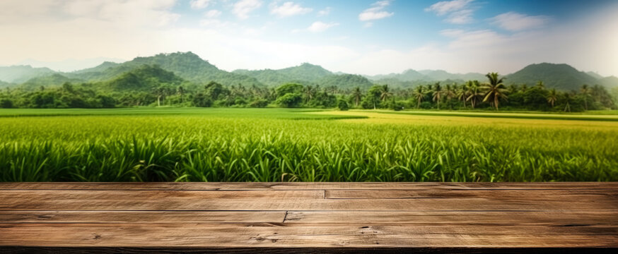 Tabletop Rice Field Backdrop Images – Browse 390 Stock Photos, Vectors ...