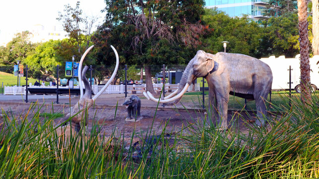 "Tar Pit" Images – Browse 238 Stock Photos, Vectors, and Video | Adobe ...