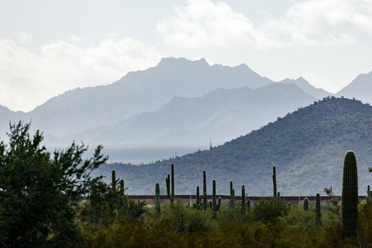 "Us Mexico Border" Images – Browse 1,952 Stock Photos, Vectors, and ...