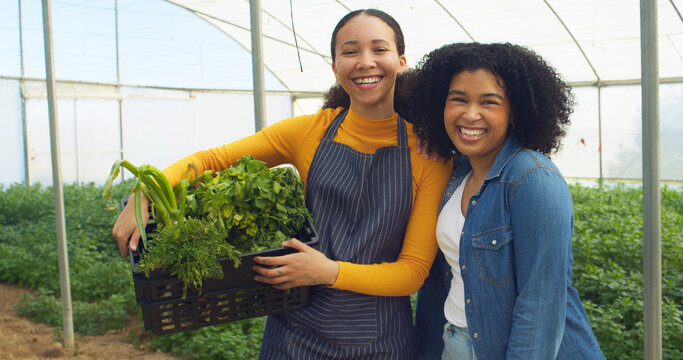 Meeko Media photos, images, assets | Adobe Stock