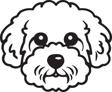 Cavapoo Images – Browse 1,221 Stock Photos, Vectors, and Video | Adobe ...