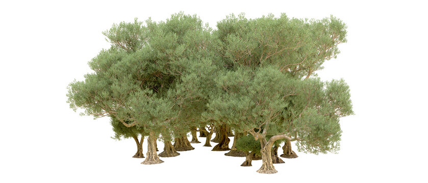 Lithe Bilder – Durchsuchen 2,153 Archivfotos, Vektorgrafiken und Videos ...