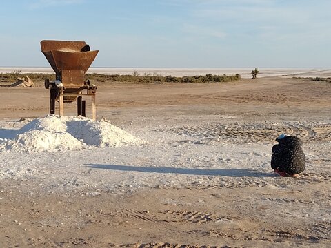 "Old Salt" Images – Browse 1,181 Stock Photos, Vectors, and Video ...