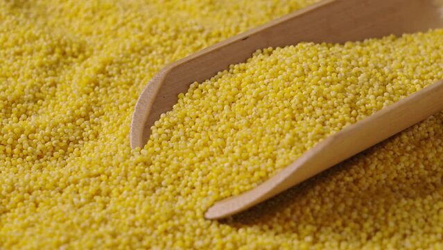 "Millet Background" Images – Browse 113 Stock Photos, Vectors, and ...