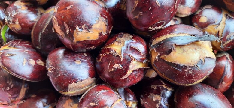 รูปภาพJengkol – เลือกดูภาพถ่ายสต็อก เวกเตอร์ และวิดีโอ352 | Adobe Stock