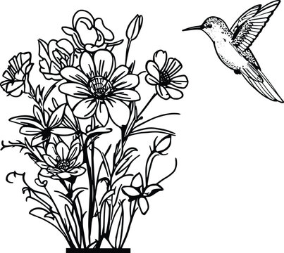 "Hummingbird Vector" Images – Parcourir 346 le catalogue de photos, vecteurs et vidéos | Adobe Stock