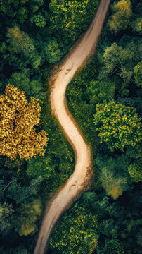 "Split Path" Images – Browse 59 Stock Photos, Vectors, and Video ...