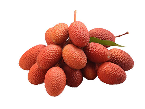 รูปภาพSnakefruit – เลือกดูภาพถ่ายสต็อก เวกเตอร์ และวิดีโอ8,305 | Adobe ...