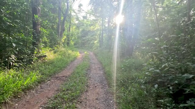 "Peaceful Path" Images – Browse 183 Stock Photos, Vectors, and Video ...