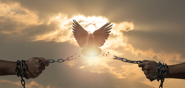 Chains And Freedom Images – Browse 75,891 Stock Photos, Vectors, and ...