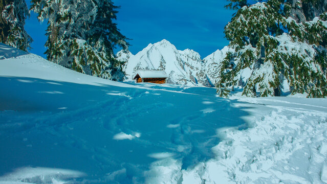 รูปภาพTree-Line – เลือกดูภาพถ่ายสต็อก เวกเตอร์ และวิดีโอ95,412 | Adobe ...