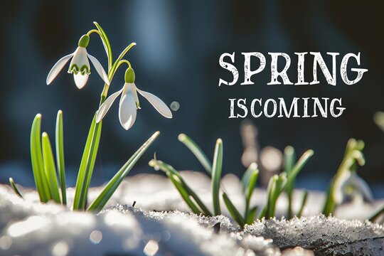"Spring Is Coming" Images – Browse 2,385 Stock Photos, Vectors, and ...