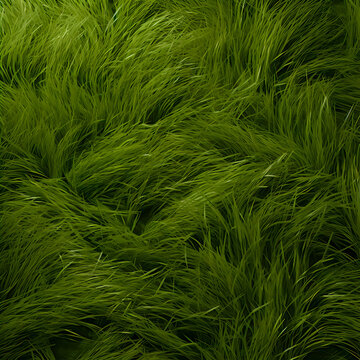 "Green Grass Background" Images – Browse 2,981 Stock Photos, Vectors ...