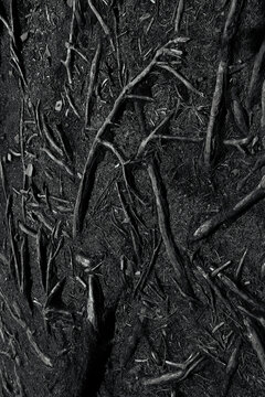 Fdgfd Images – Browse 14 Stock Photos, Vectors, and Video | Adobe Stock