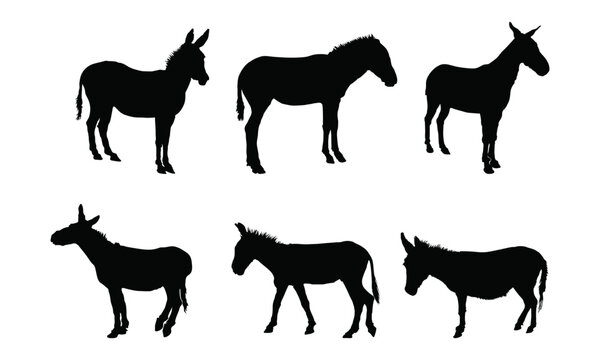 "Donkey Vector" Images – Browse 259 Stock Photos, Vectors, and Video ...