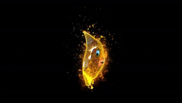 "Fire Fish" Images – Browse 1,052 Stock Photos, Vectors, and Video ...