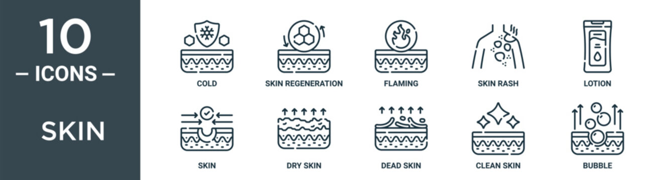 Regeneration Icon Images – Browse 7,241 Stock Photos, Vectors, and ...