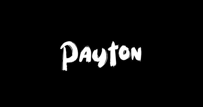 「Payton」の写真素材 | 27件の無料イラスト画像 | Adobe Stock