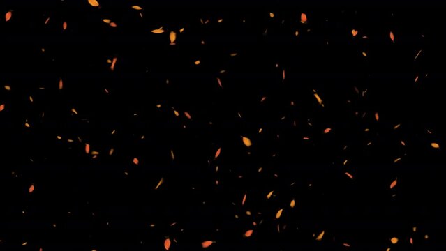 "Red Leaves" Imagens – Procure 36,107 fotos, vetores e vídeos | Adobe Stock