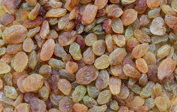 "Raisin Background" Images – Browse 60 Stock Photos, Vectors, and Video ...