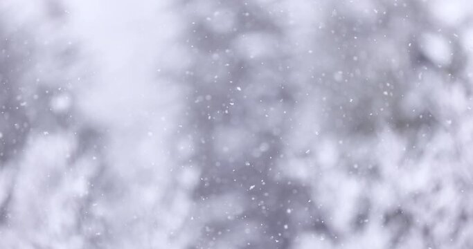 Aspen Loop Templates – Free Editable Designs | PikWizard