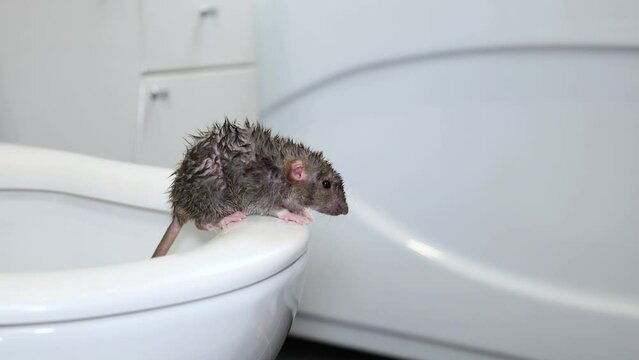 "Tired Of"-Bilder: Stock-Fotos & -Videos. | Adobe Stock