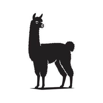 "Llama Family" Imagens – Procure 51 fotos, vetores e vídeos | Adobe Stock