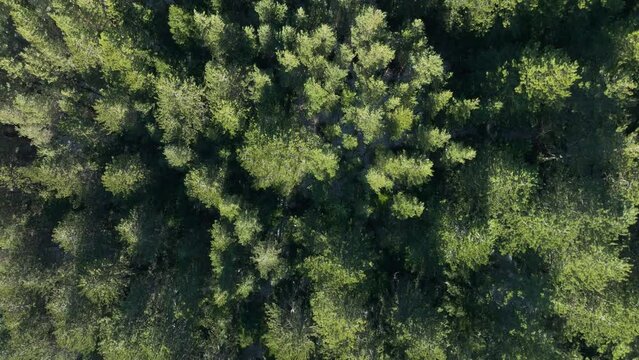 "Parallax Effect" Images – Browse 565 Stock Photos, Vectors, and Video ...