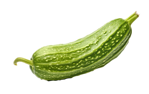 "Pointed Gourd" Images – Browse 969 Stock Photos, Vectors, and Video ...