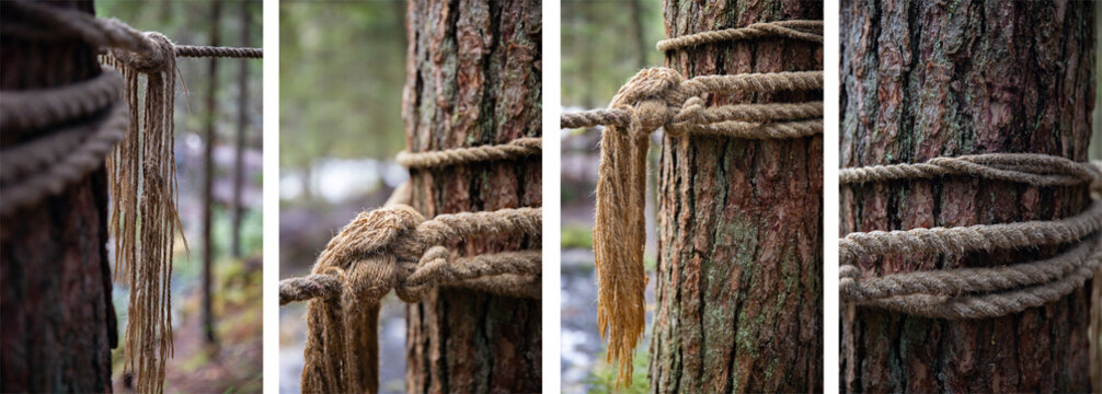 "Old Rope" Images – Browse 284 Stock Photos, Vectors, and Video | Adobe ...